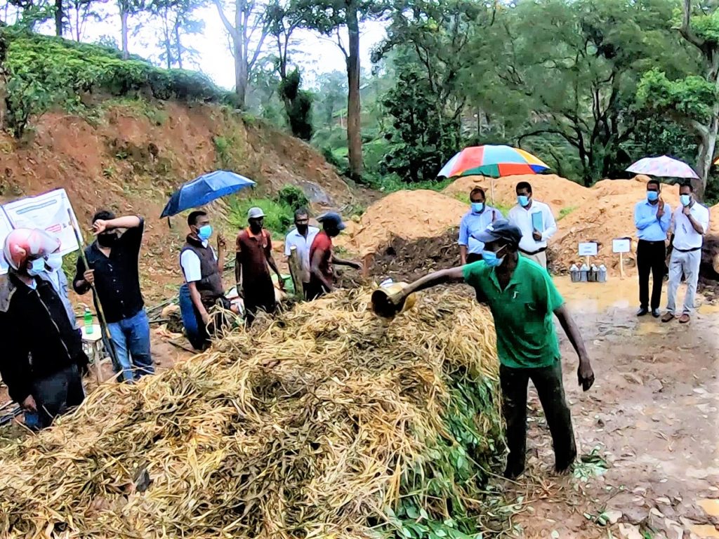 Activities - LOAM.LK