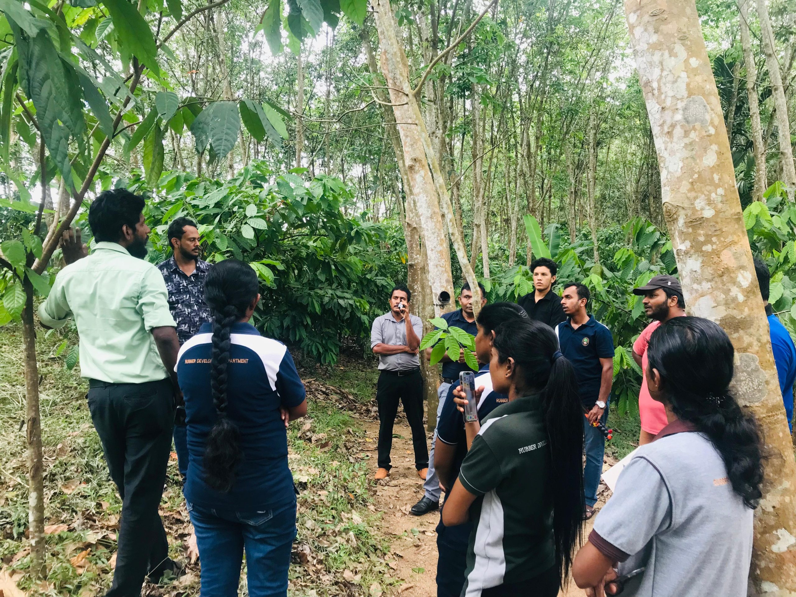 Rubber improvement of value chain & Embedded smallholders resilience project (RIVER) – the ...